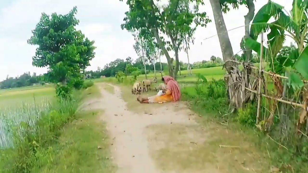 My Frist Village Vlog ।। My Frist Video On Youtube।। Sobuj Vlogs BD ।। ️ - YouTube