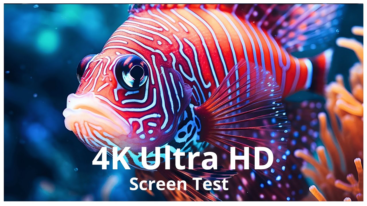 🌍 4K Ultra HD Screen Test - Ultra High Definition at Its Finest! 🎬 ...