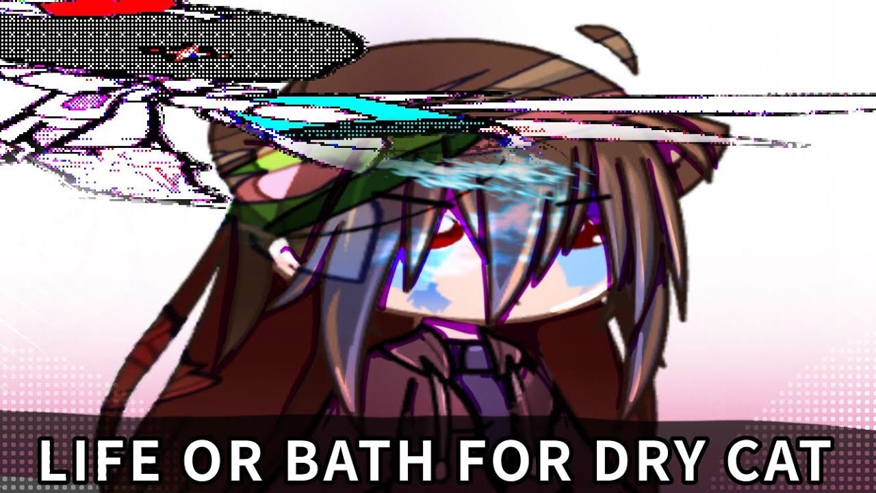 Life or bath for dry cat - meme? || The Psycho House - YouTube