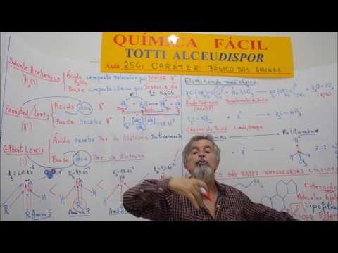 Aula 256.4 - ALCALÓIDES