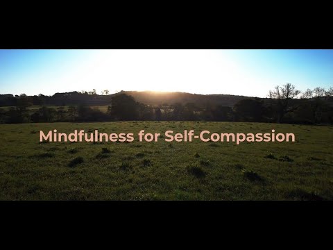 3-Minute Self-Compassion Meditation | Guided Mindfulness for Inner ...