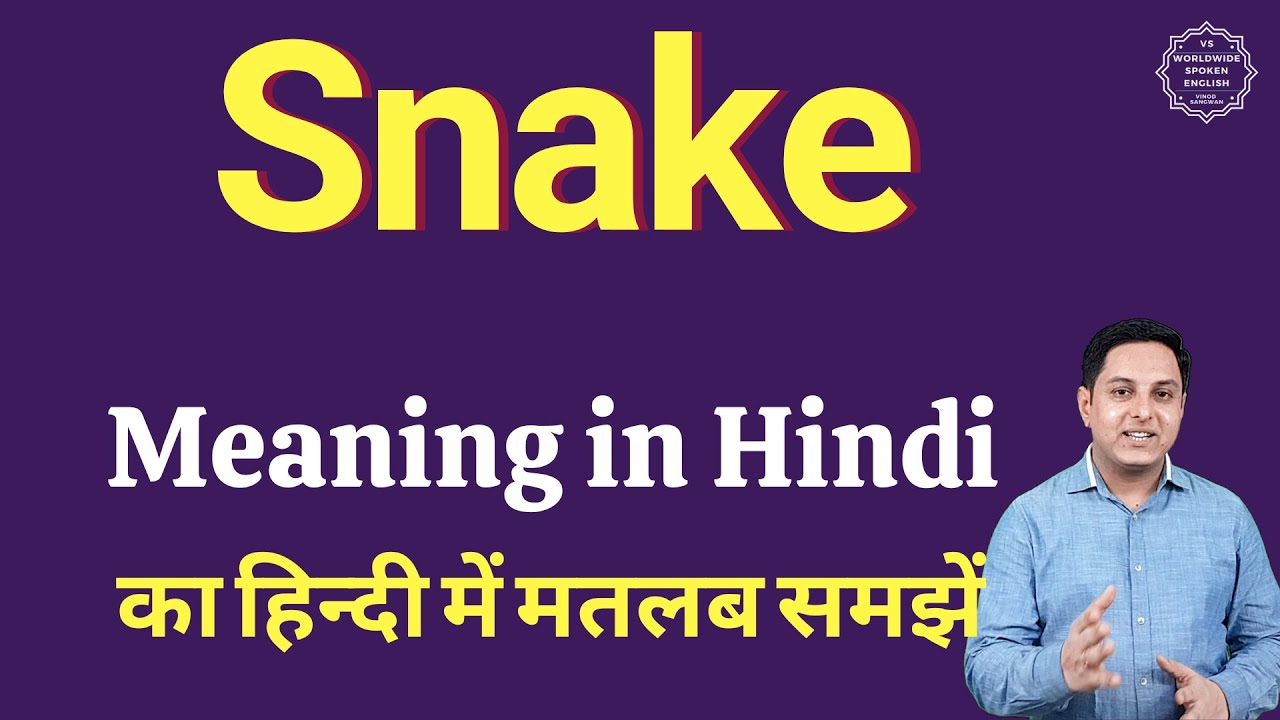 Snake Meaning In Hindi Snake Explained Snake In snake-meaning-in-hindi-snake-explained-snake-in