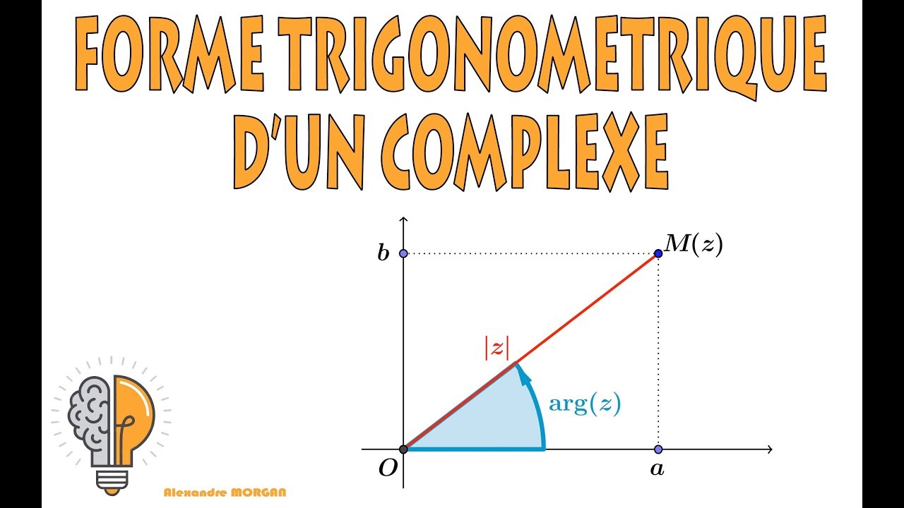 TME - Complexes et Forme trigonométrique - YouTube