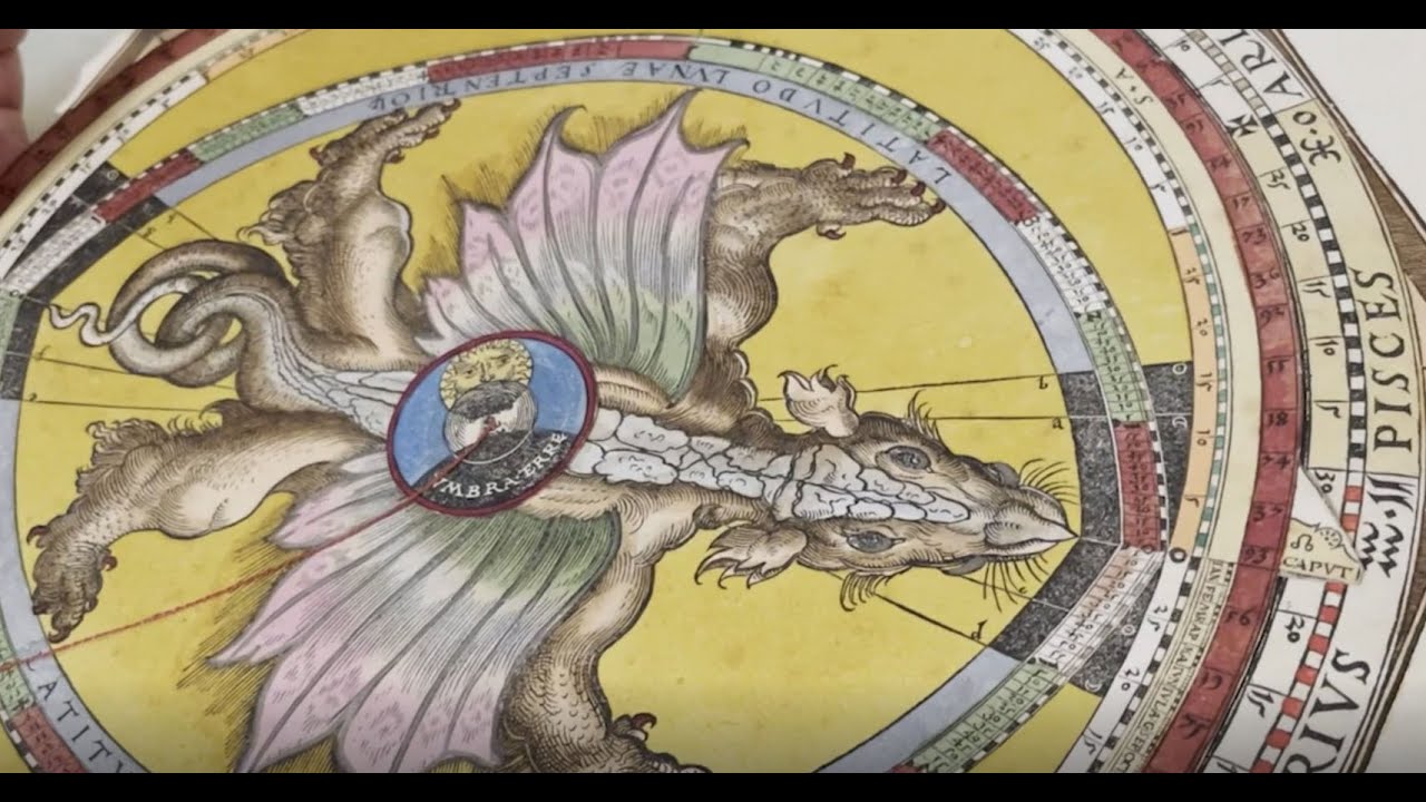 What is a wheel chart - YouTube