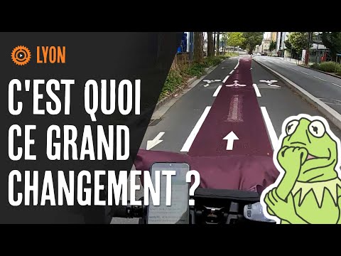 Lyon se métamorphose, mais est-ce une réussite ?