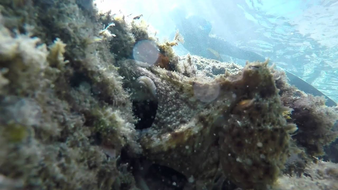 Cala Salions 2015 #gopro - YouTube