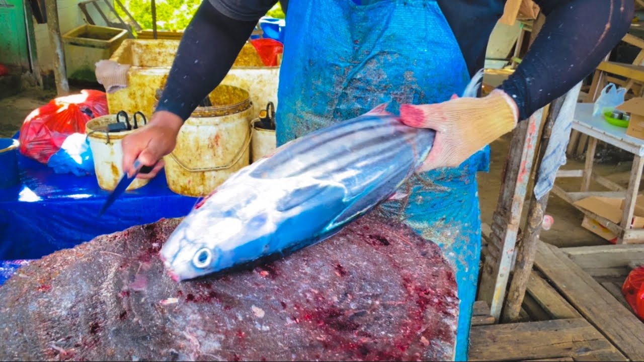fish cutting,fish cutting video,fish cutting skills,tuna fish cutting ...