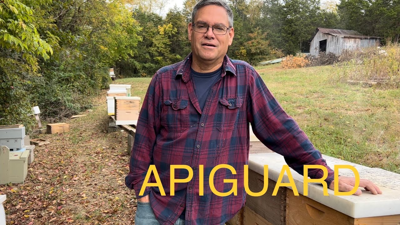 How to use apiguard - YouTube