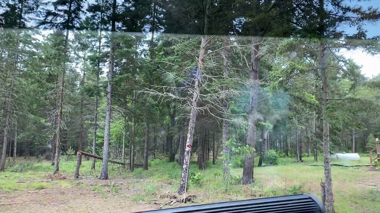 Jeep vs Tree - YouTube