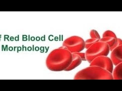 Morphology Variation of RBC || Red Blood Cell || || Hematology Lecture ...