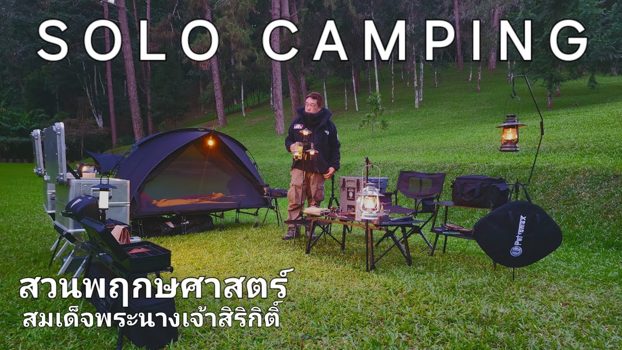 สวนพฤกษศาสตร์สมเด็จพระนางเจ้าสิริกิติ์ | เปิดลานกางเต้นท์วันแรก | ASMR ...