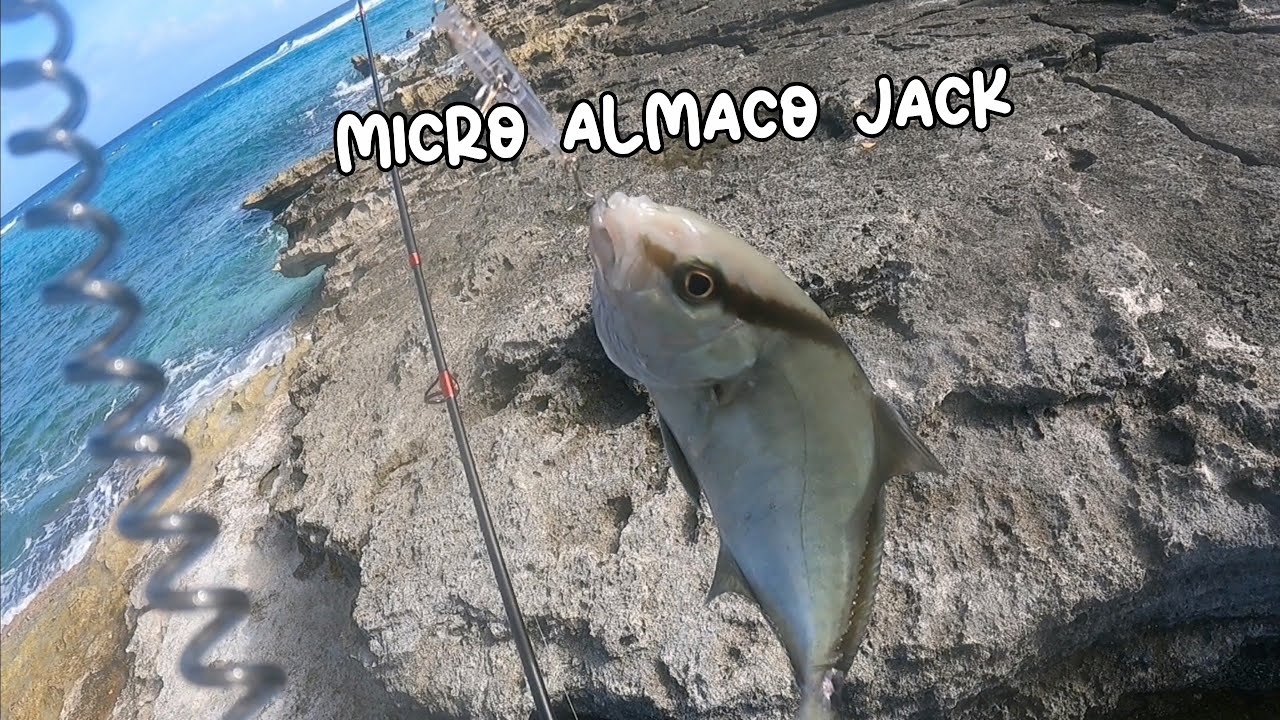 LURE FISHING BERMUDA | random casting lands micro almaco jack - YouTube