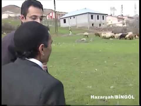 Bingöl hazarşahlı çoban abimiz