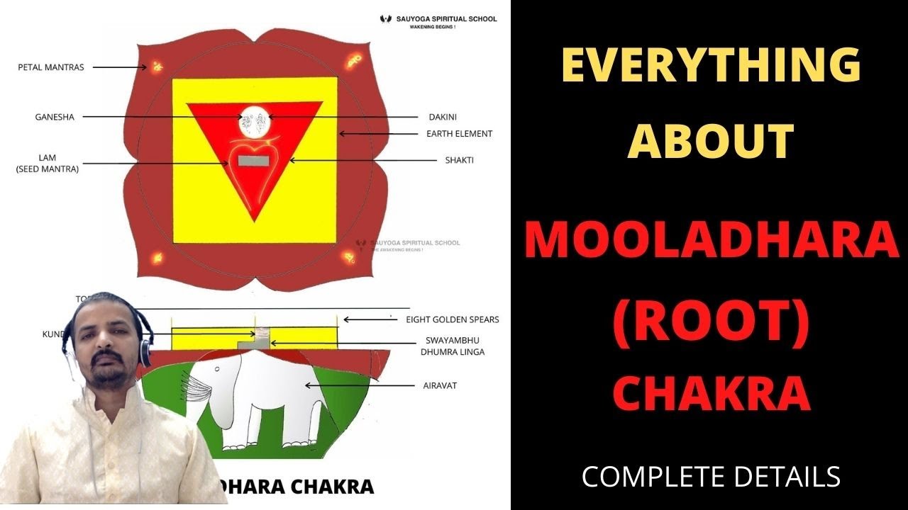 EVERYTHING ABOUT MOOLADHARA ROOT CHAKRA | मुलाधार चक्र - YouTube
