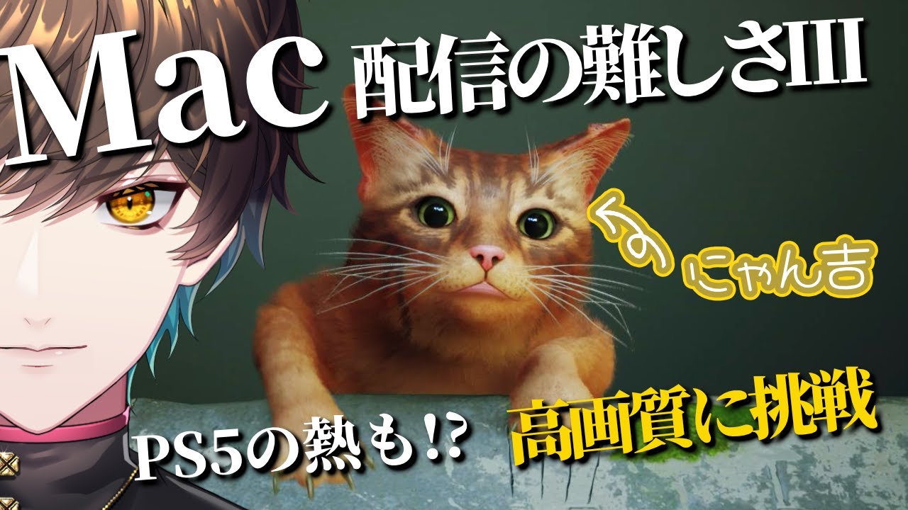 #07【新人Vtuber/Stray】Macで配信する難しさⅢ 高画質チャレンジ！2540 ️1440#ゲーム配信 #obs #mac - YouTube