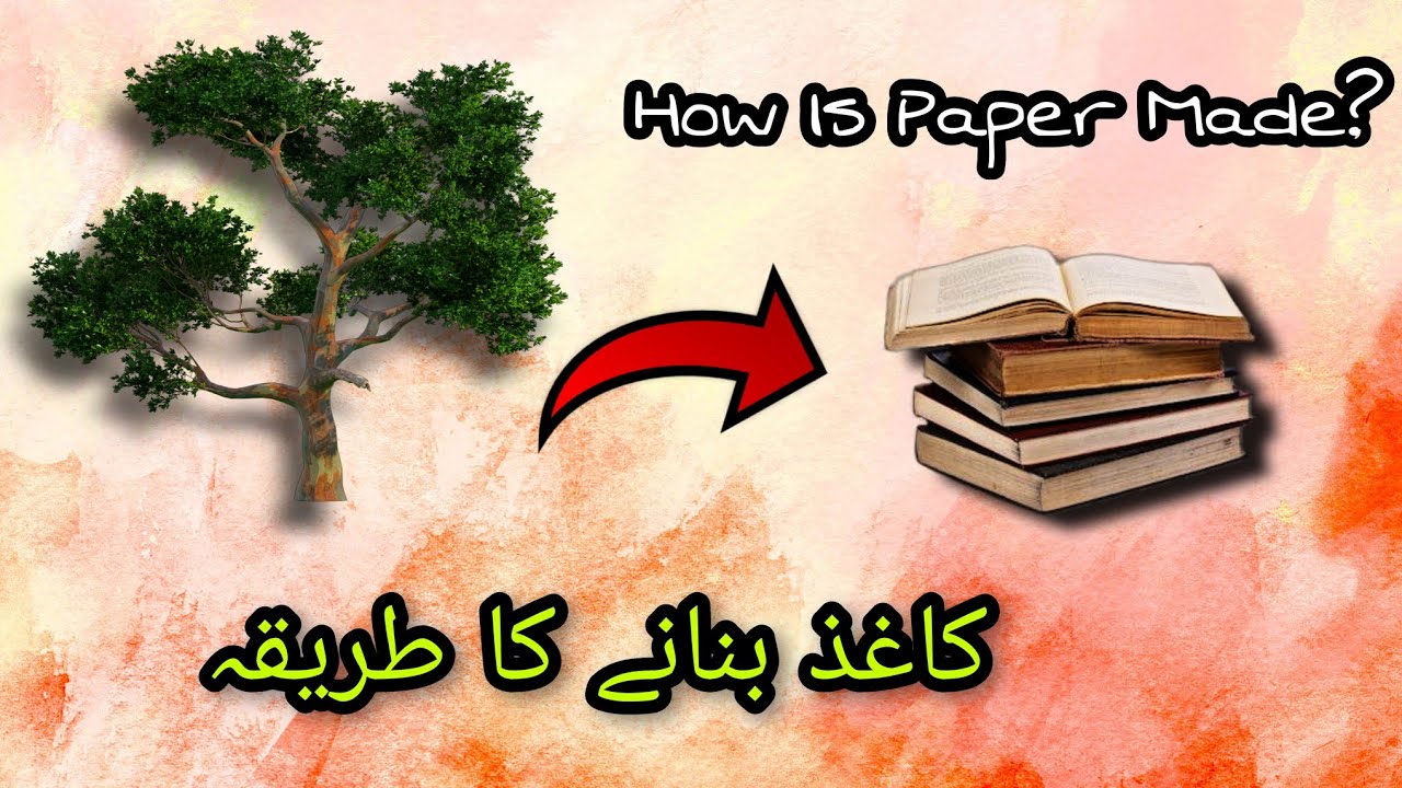 How To Make Paper | Pulp And Paper Laboratory | کاغذ کیسے بنایا جاتا ہے ...