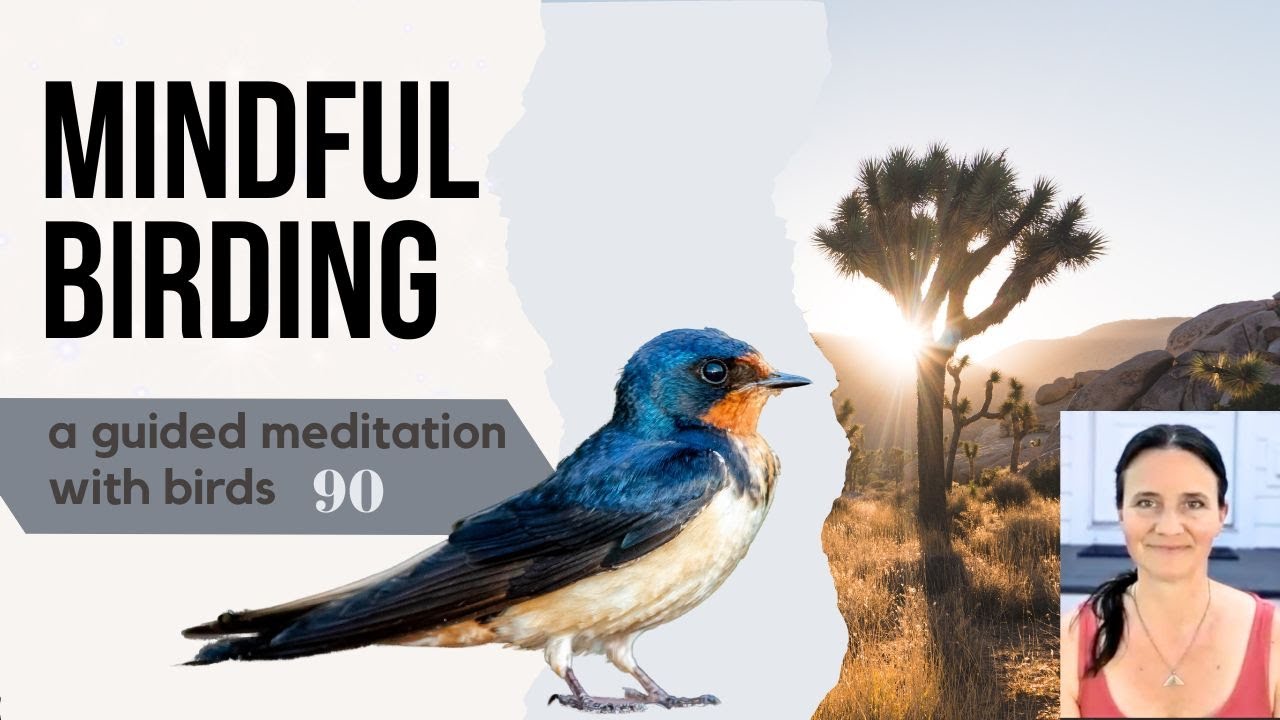 Mindful Birding - A Meditation with Birds -A BIRD LANGUAGE MASTER SKILL ...