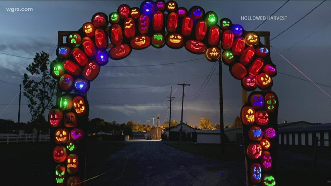 Hollowed Harvest Begins Today - YouTube