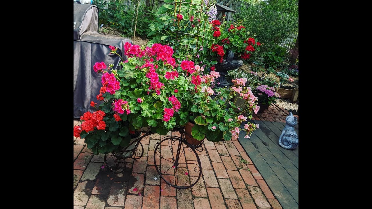 My Garden Spring 2019 - YouTube