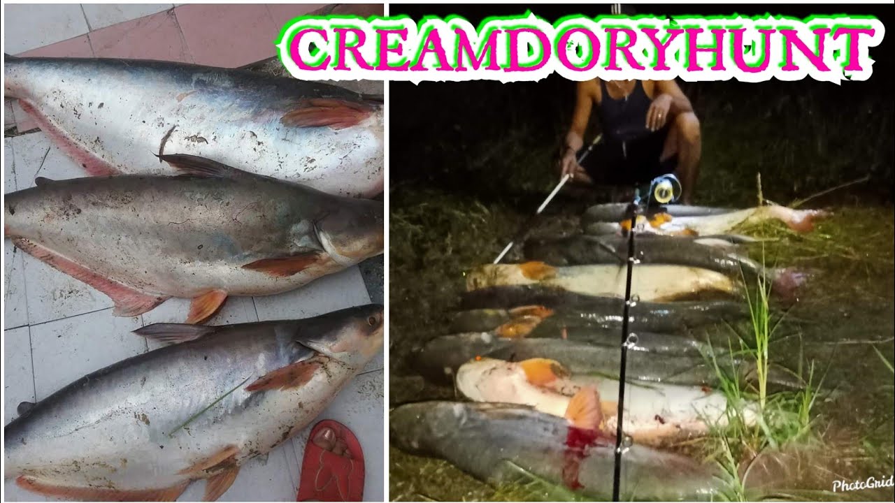 #CREAMDORY #HUNTING RIVER MONSTER (CREAMDORY HUNT PHIL) - YouTube