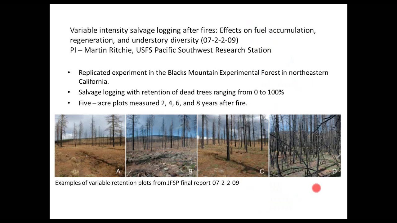 Hot Off the Press: The latest research from the Joint Fire Science ...