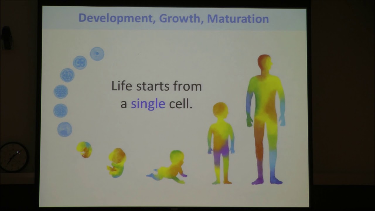 Knut Woltjen Public Lecture Mar 29, 2018 - Genes and Cells: The Living ...