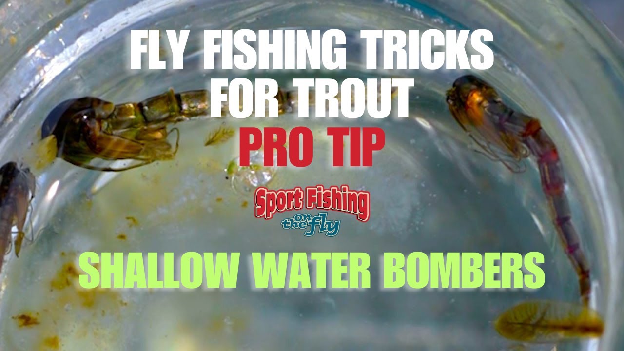 FLY FISHING TRICKS FOR TROUT: PRO TIP - SHALLOW WATER BOMBERS - YouTube