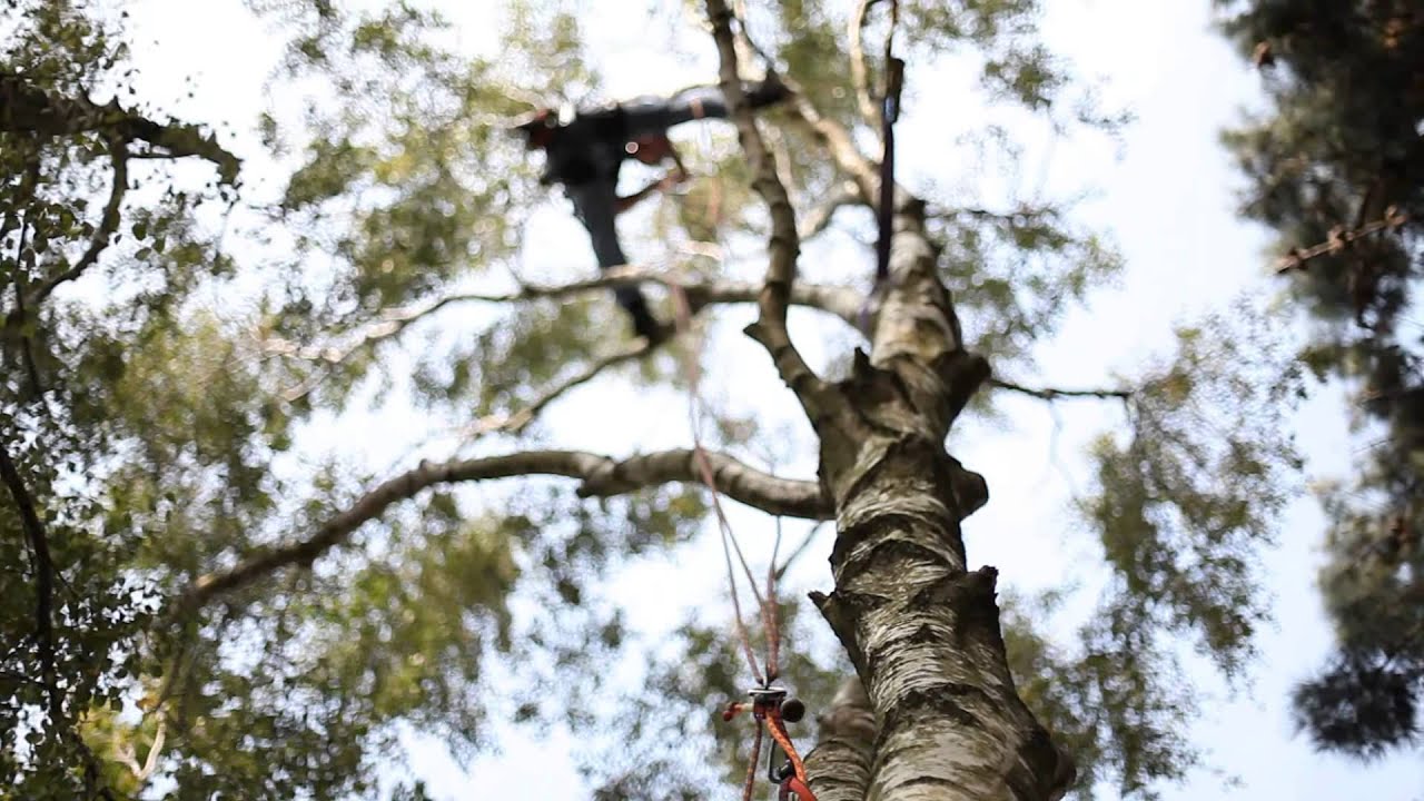 Modern Rope Climbing Tools and Techniques - YouTube