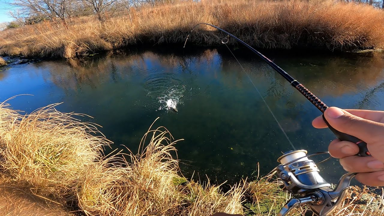 This DEADLY method will catch you more trout - YouTube