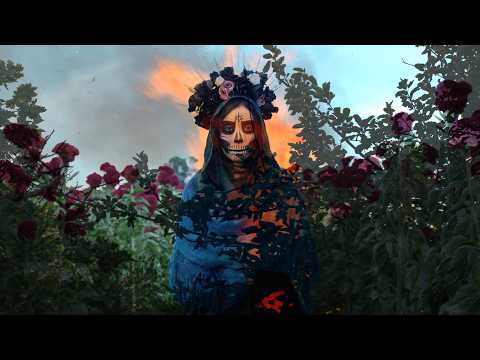 Axel Thesleff - Ashoka (Official Music Video)