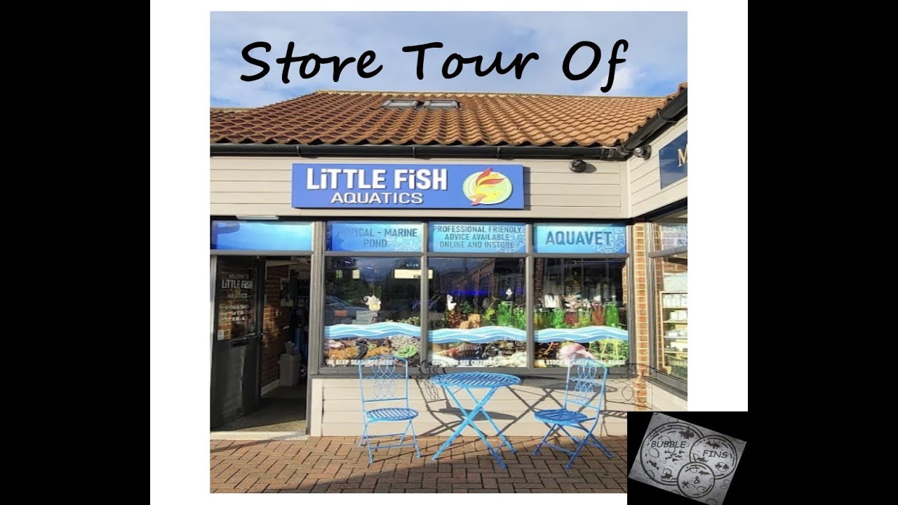 Visiting Little Fish Aquatics - YouTube