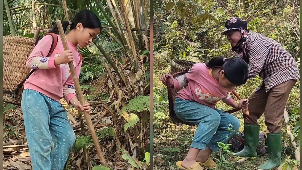 full video: Little boy and old lady go into the forest to dig bamboo ...