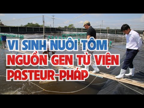 LALSEA BIOREM ĐIỂM ƯU VIỆT VI SINH - NGUYÊN LIỆU NGUỒN GEN TỪ VIỆN ...