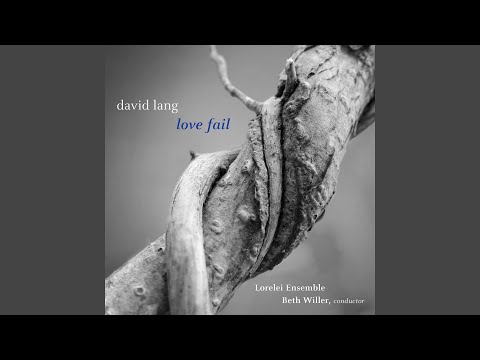 David Lang, Beth Willer, Lorelei Ensemble – Love Fail – CD (Album ...