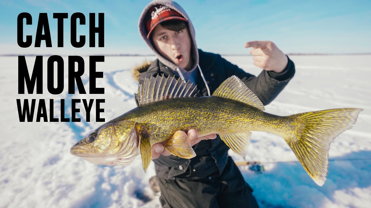 How To Catch MORE Walleye on Ice - YouTube