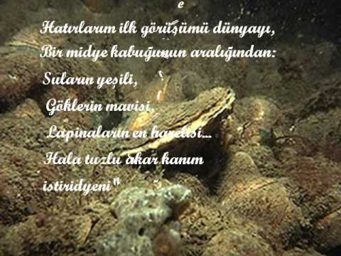 Denizi Özleyenler İçin Orhan Veli