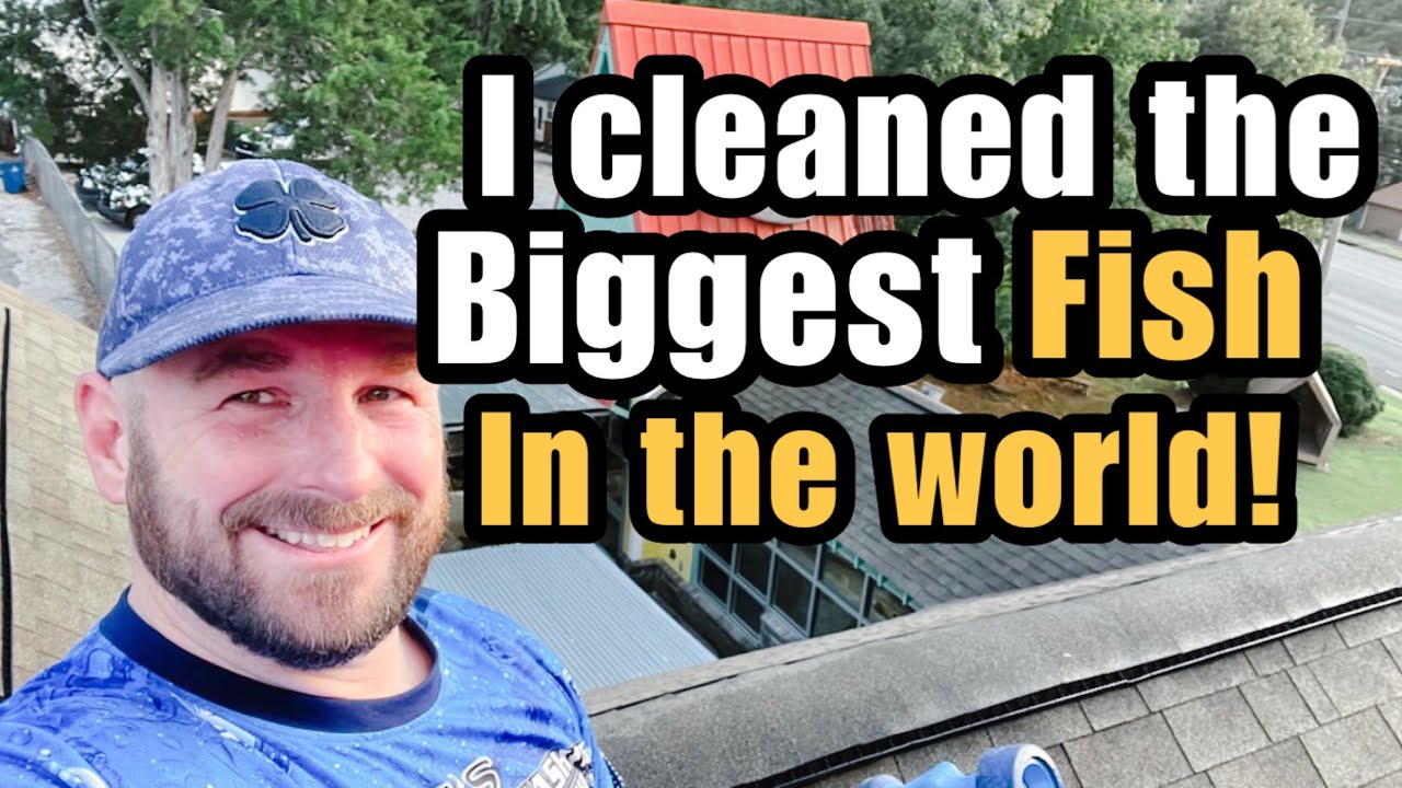 PRESSURE WASHED A 15 FOOT CATFISH | WHAT I CHARGED AND THE PROCESS AND ...