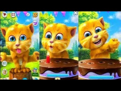 Talking ginger | foodlover | enjoyment | fun | talkingcat | talkingtom ...