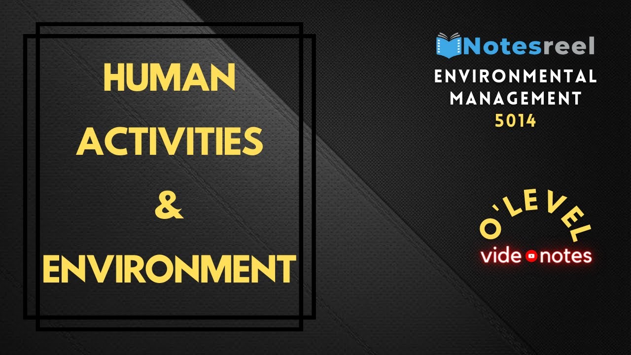 Human activities & environment | O Level Notes Environmental Management ...