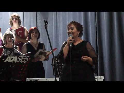 Remziye Yıldırım - Seni kırda görmüşler