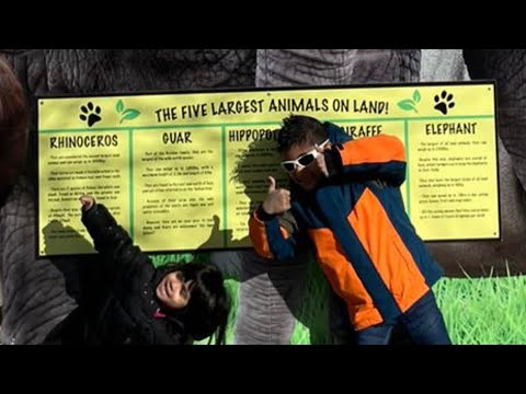 The Fenn Bell Zoo - YouTube