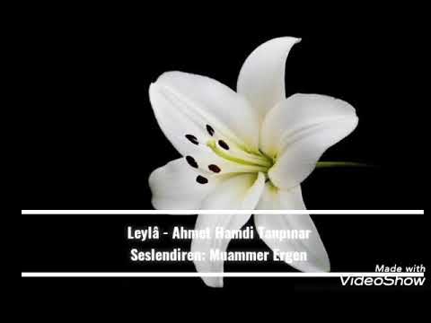 Leylâ - Ahmet Hamdi Tanpınar  (Leyla ela gözlü bir çöl ahusu)