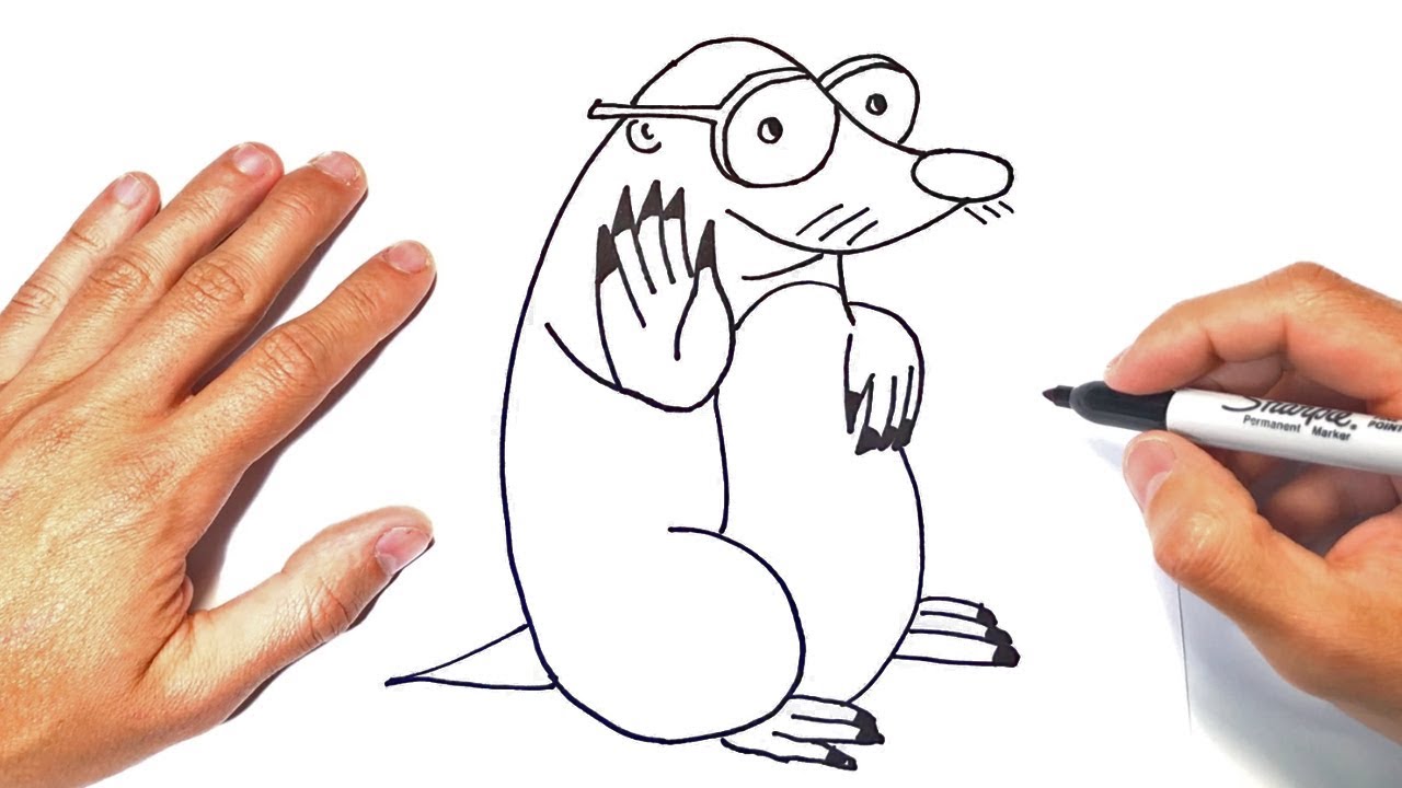 Cómo dibujar un Topo Paso a Paso | Dibujo de Topo - YouTube