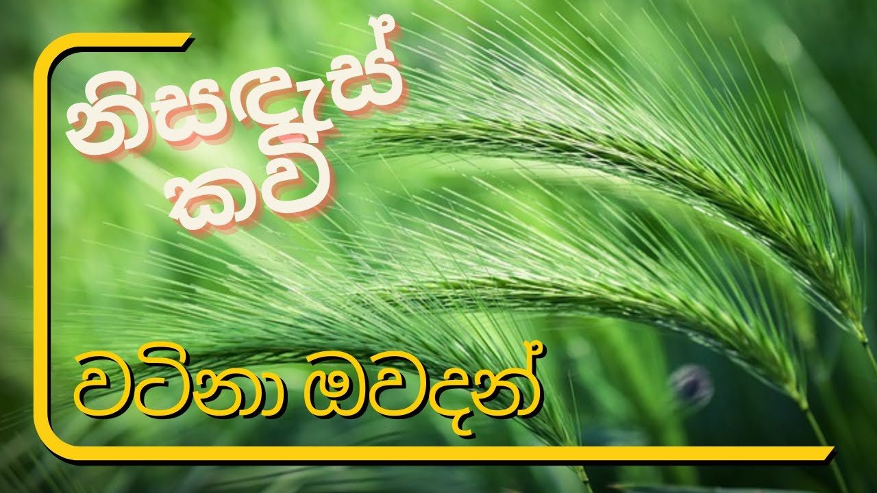 වටිනා ඔවදන් - නිසඳැස් කවි /Sinhala Nisadas - YouTube