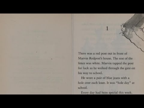 Marvin Redpost #5: Chapter 1-2 Class President Read Aloud - YouTube