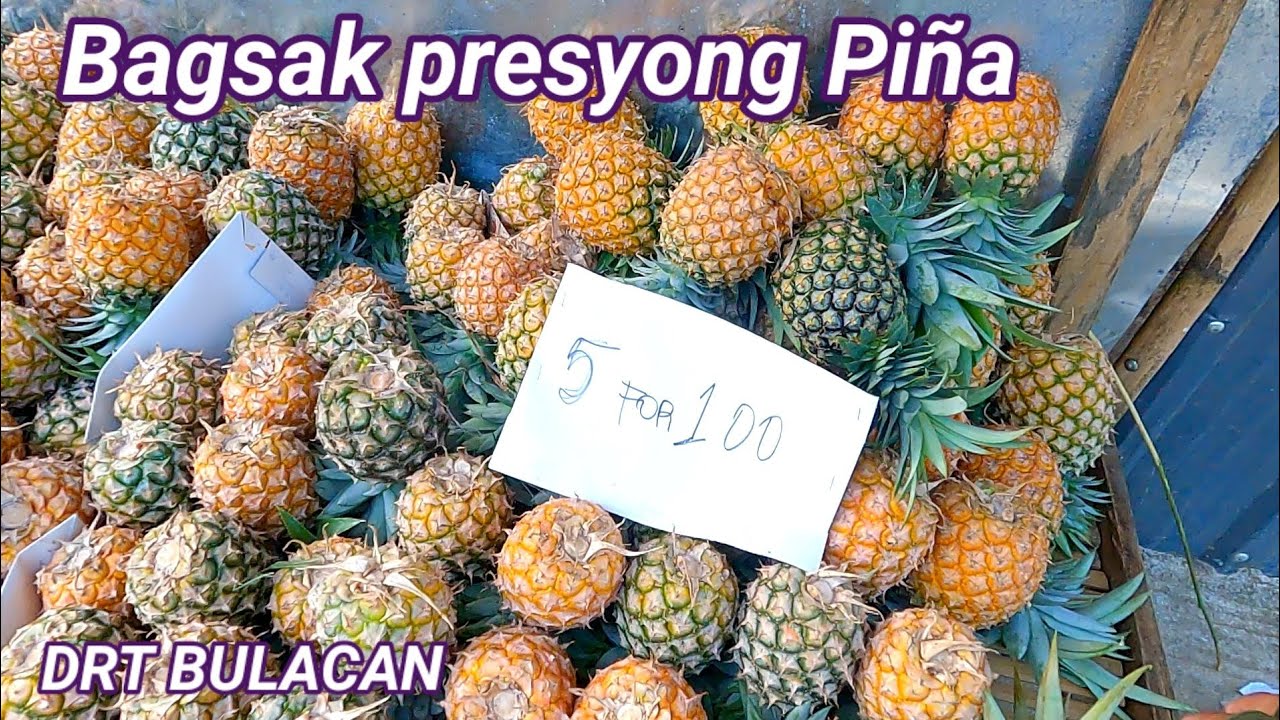 Bagsak presyo pinya / Pinyahan sa DRT BULACAN - YouTube
