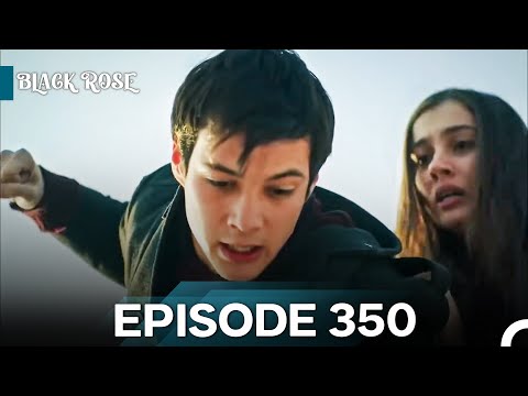 Black Rose Episode 350