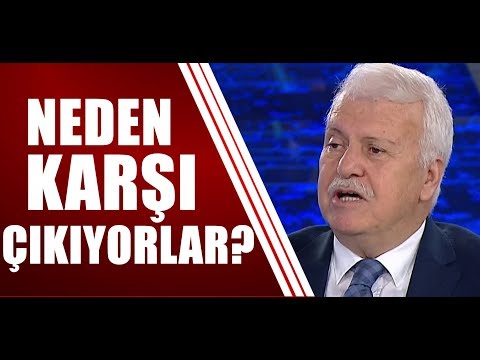 Barış Pınarı Harekatı'na karşı çıkanlar ne istiyor?
