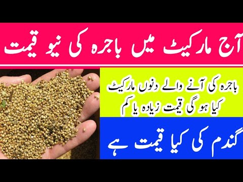 bajra wholesale price today || today bajra new price in market || New ...