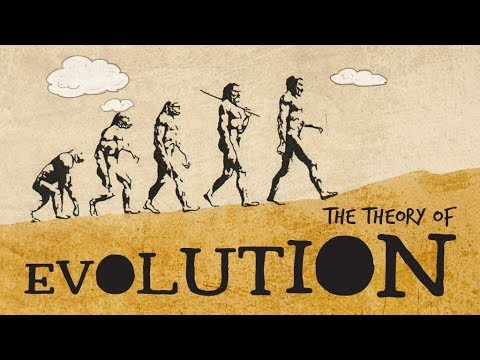 Evolution vs Non-evolution but not creationism? Moderated by Mr ...
